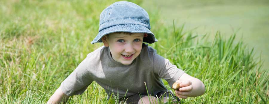 Hitchcock Center for the Environment | Education for a Healthy Planet