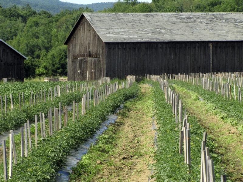 Hitchcock Center for the Environment | Education for a Healthy Planet