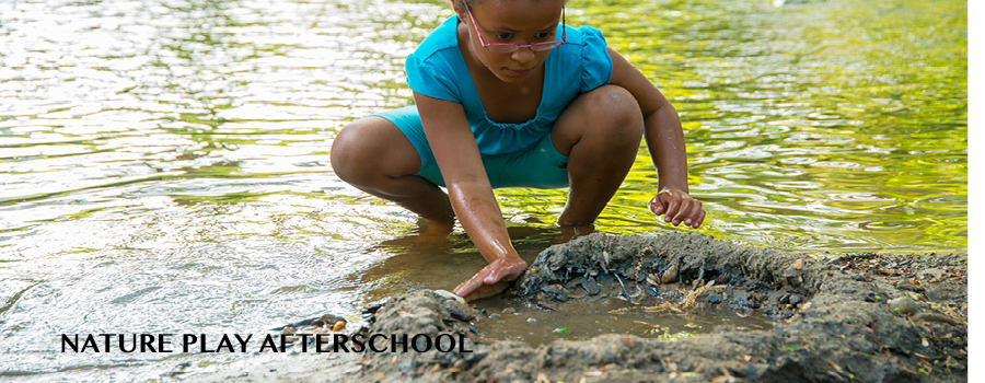 Hitchcock Center for the Environment | Education for a Healthy Planet
