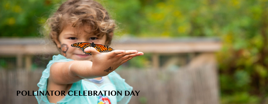 Hitchcock Center for the Environment | Education for a Healthy Planet