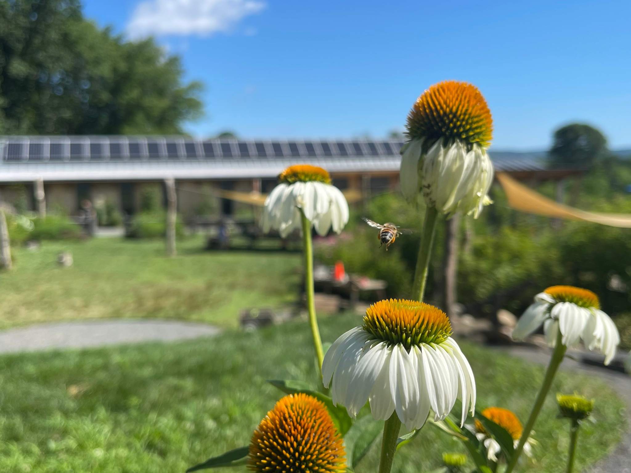 Hitchcock Center for the Environment | Education for a Healthy Planet