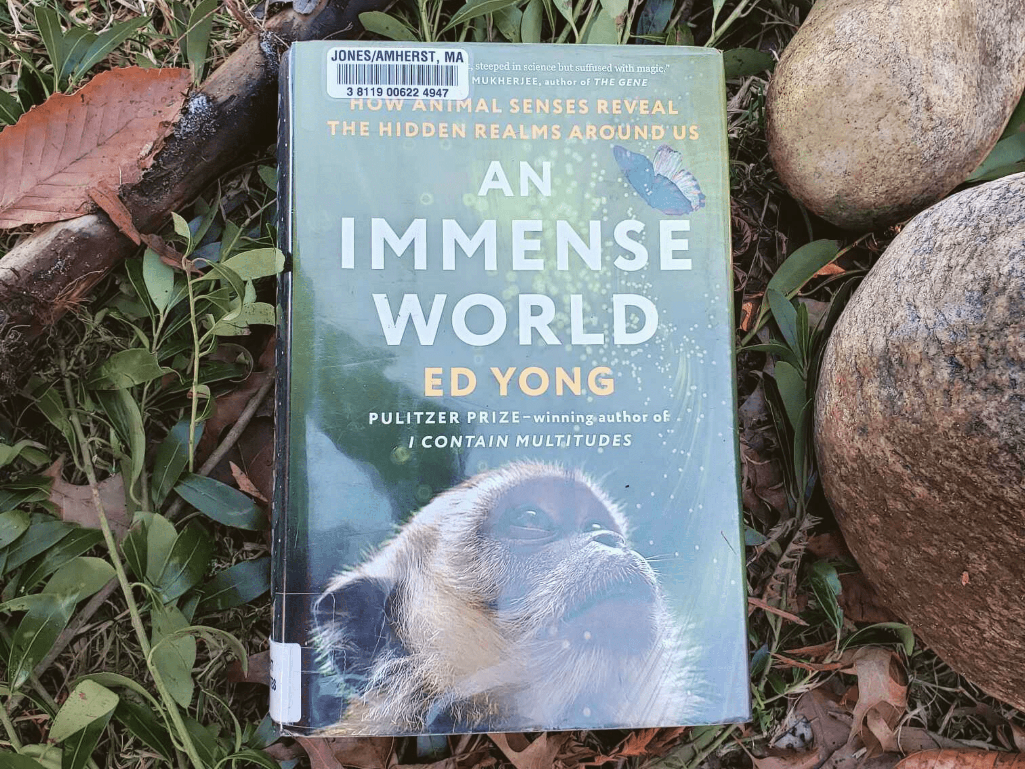 Hitchcock Center for the Environment | Education for a Healthy Planet