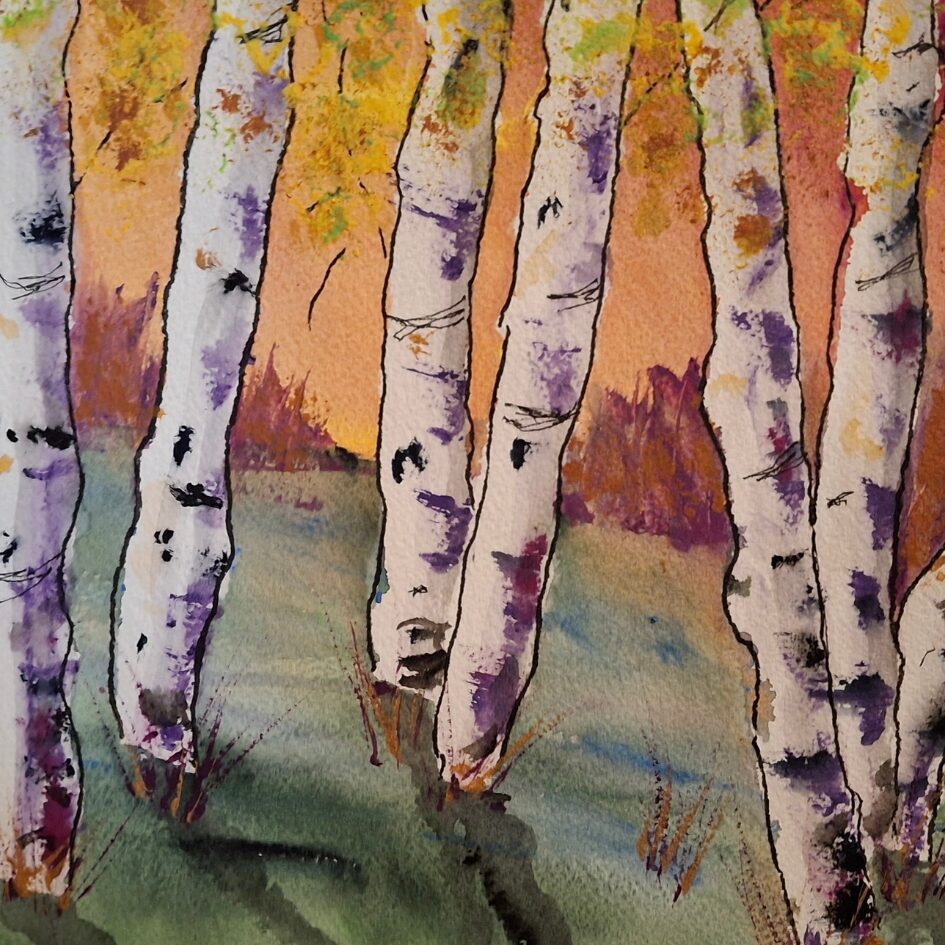 Hitchcock Center for the Environment | Education for a Healthy Planet